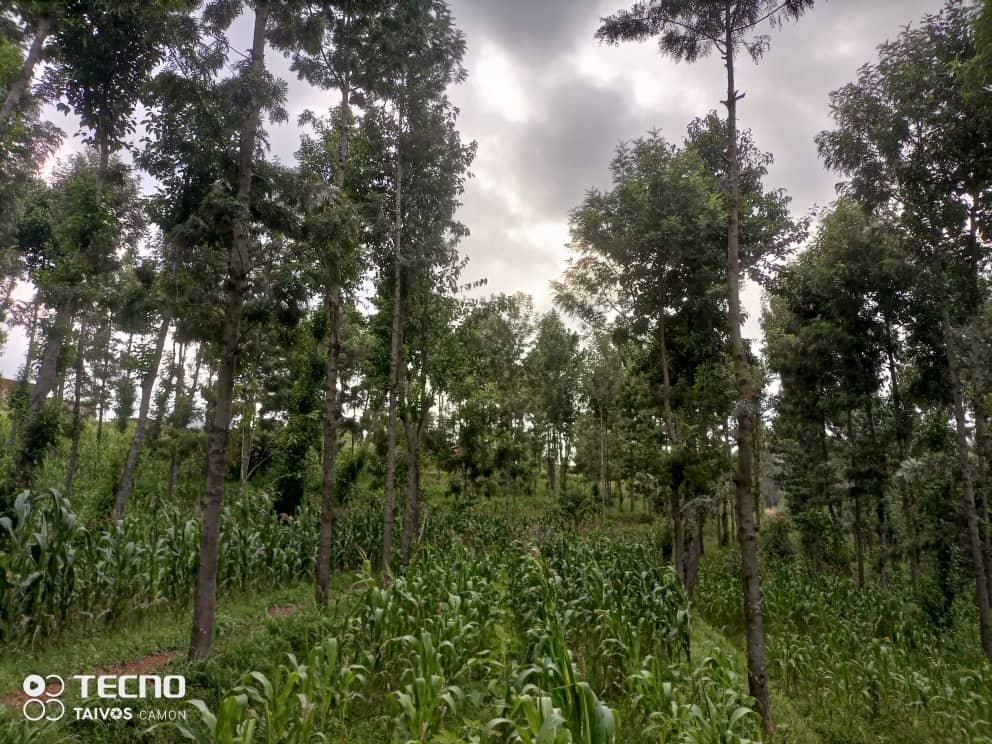 Search results | University of Rwanda - Elearning Platform